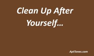 25 Polite Ways to Say "Clean Up After Yourself" - Apt Tones