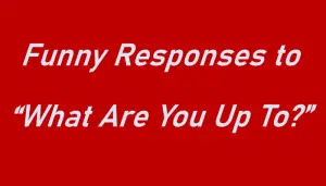 40 Funny Responses to "What Are You Up To?" - Apt Tones