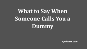 20 Things to Say When Someone Calls You a Dummy - Apt Tones