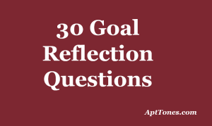30 Goal Reflection Questions - Apt Tones